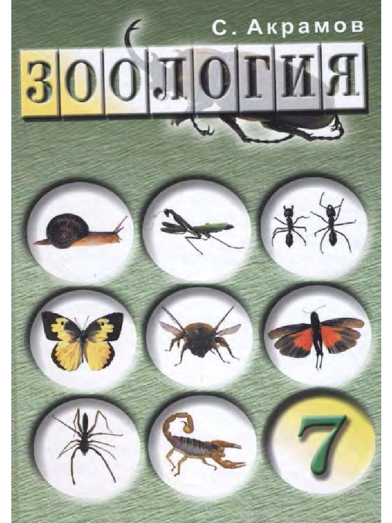 Zoologiya 7 1 65 | PDF