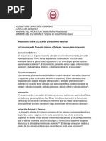 Función y Ubicación del Plexo Cardíaco | PDF