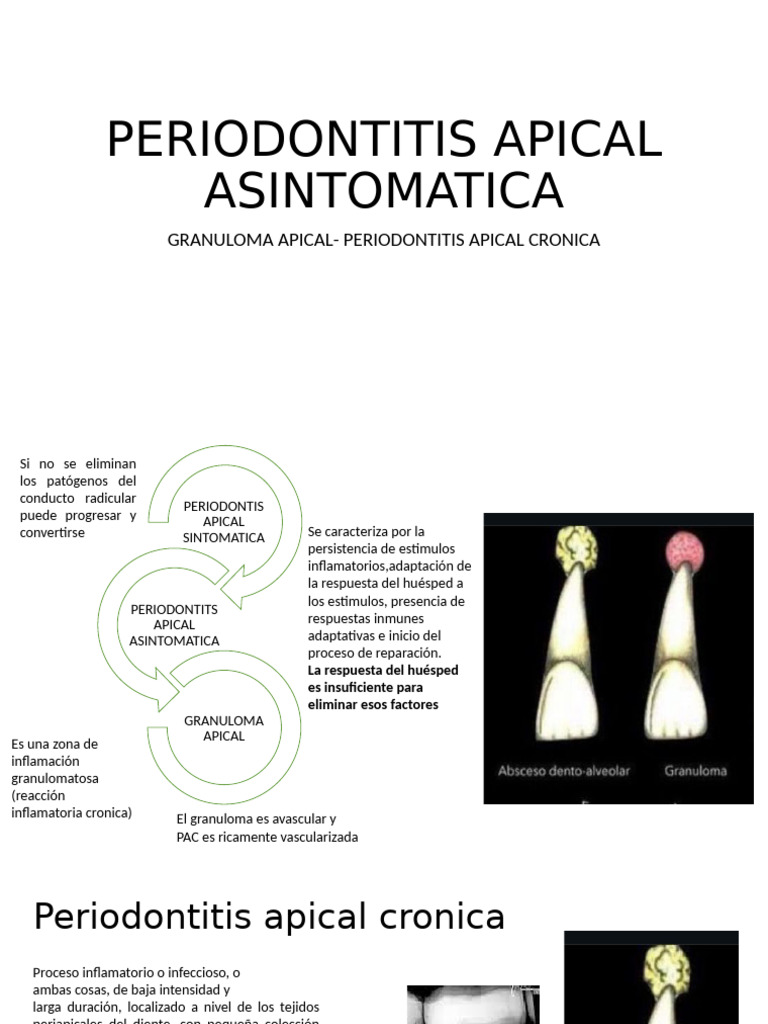 PERIODONTITIS APICAL ASINTOMATICA | PDF | Inflamación | Citocina