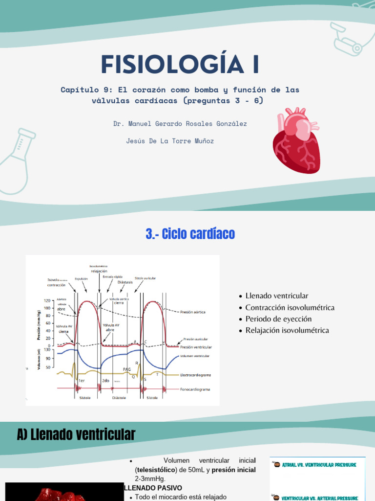 Función del Corazón y Ciclo Cardíaco | PDF | Corazón | Ventrículo (corazón)