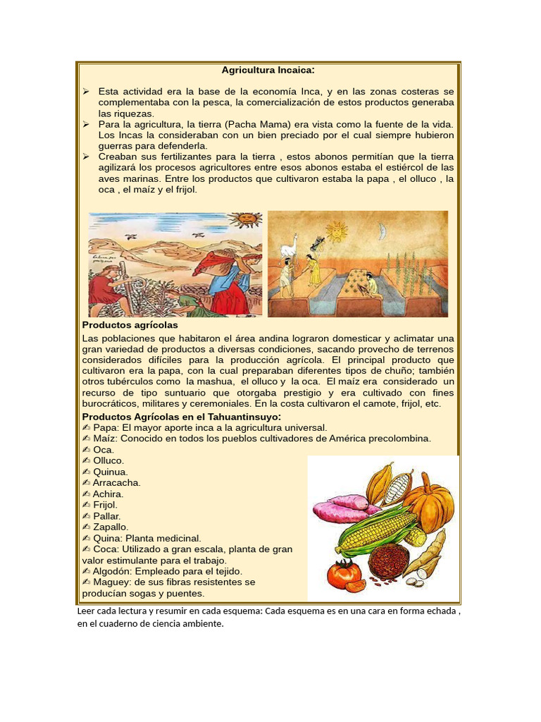 Agricultura Inca y sus productos clave | PDF