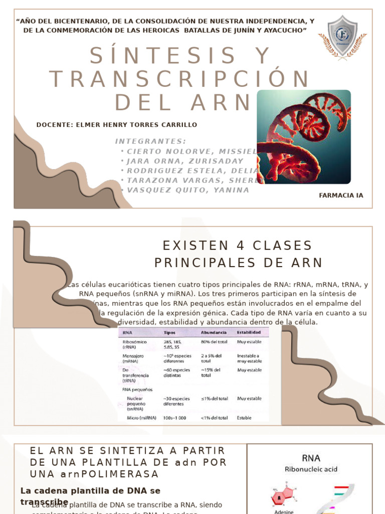 Síntesis y Transcripción del ARN | PDF | Rna | Adn