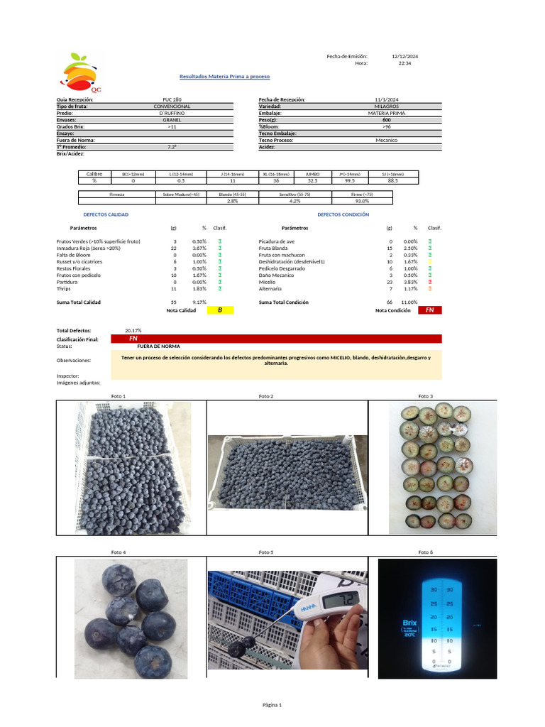 007 QC IF MP Arandano D RUFFINO 02-11-24 FUC 280 | PDF