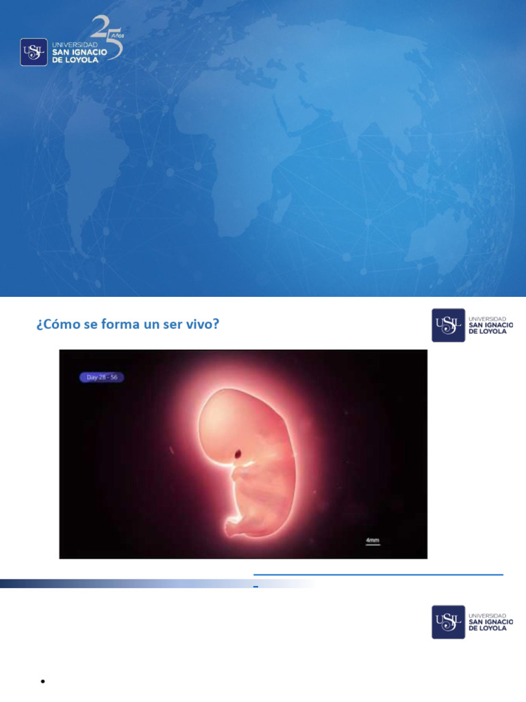 S3.s5 - Genetica y Eopigenetica Del Desarrollo | PDF | Diferenciación celular | Biología