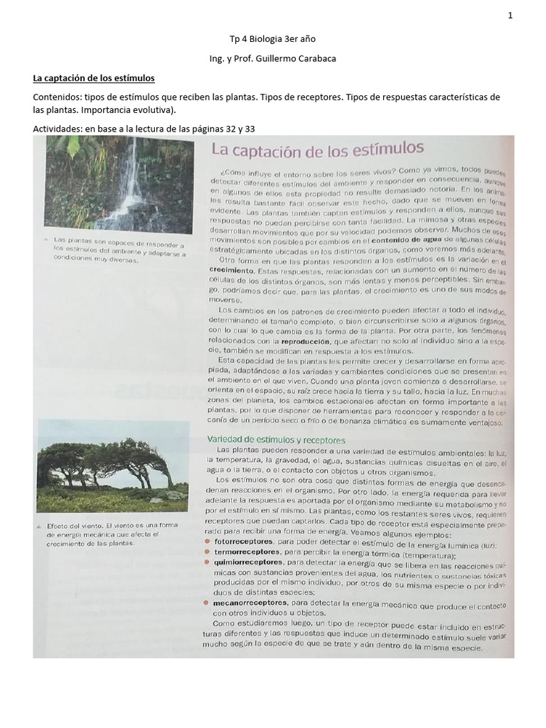 TP 4 Receptores y Hormonas Vegetales Biologia 3ero | PDF | Auxina | Hormona Vegetal