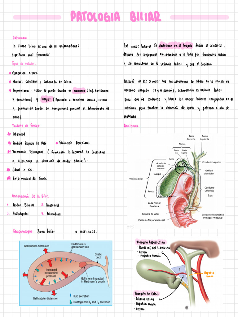 PATOLOGÍA BILIAR | PDF