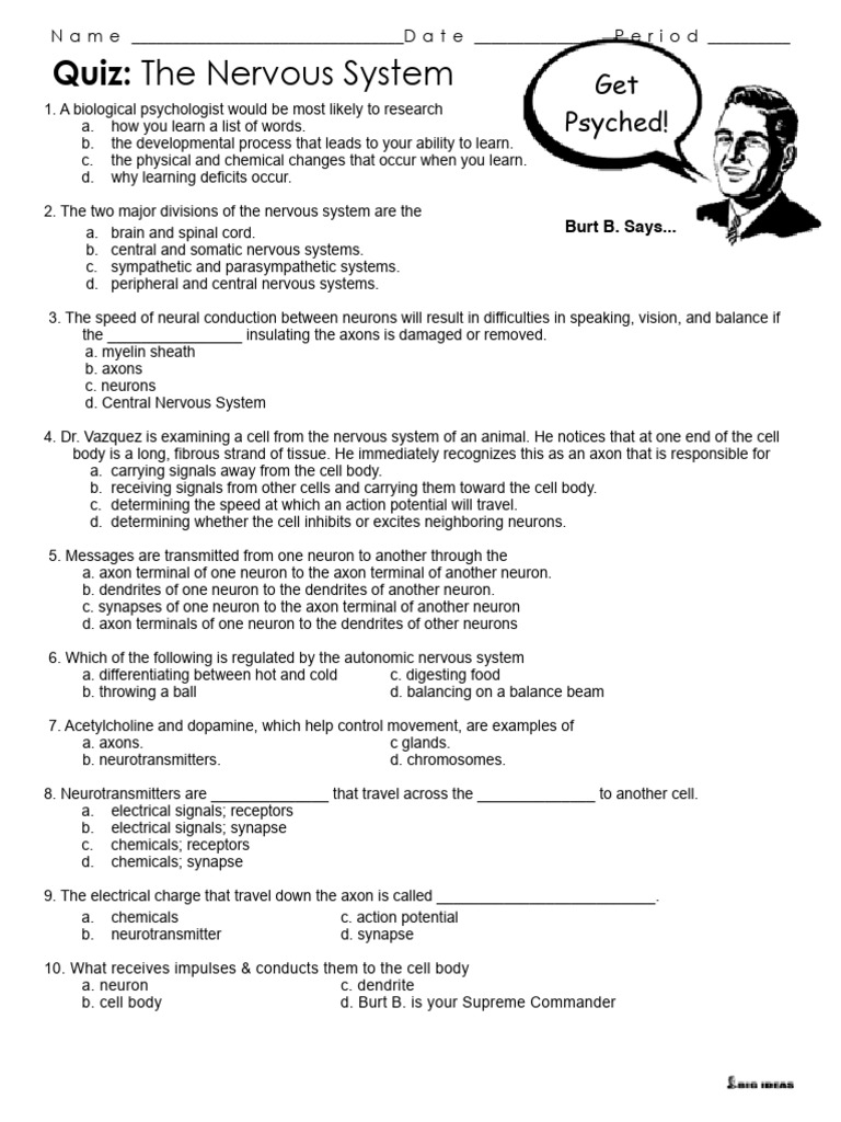 05a_quiz_nervous_system | PDF | Neuron | Nervous System