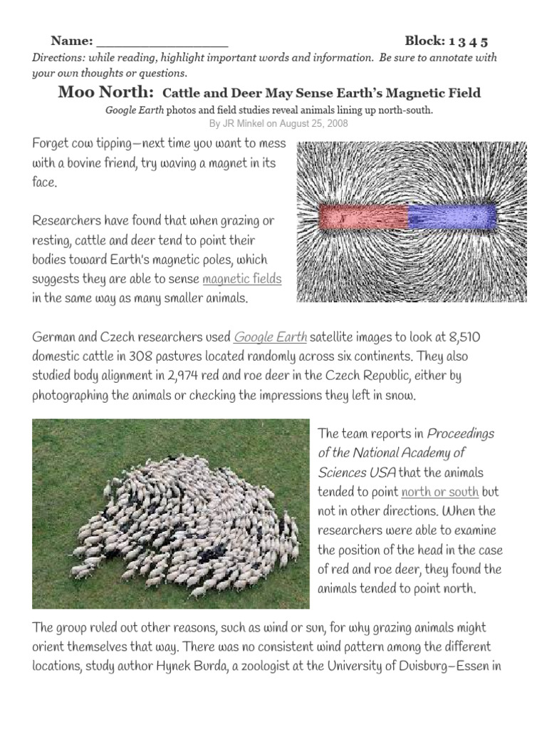 Kami Export - RILEY REED - 0 - Magnetism Investigation Introduction ...