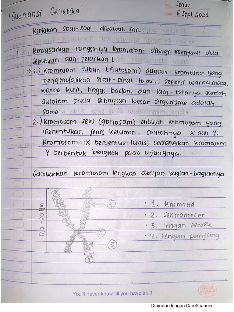 Substansi Genetika | PDF