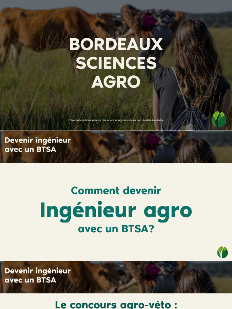 Presentation_BTSA | PDF