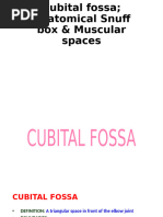 Triangular Space - Borders - Contents - TeachMeAnatomy | PDF