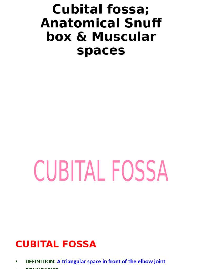 Cubital Fossa - Snuff Box and Muscular Spaces | PDF | Thumb | Limbs ...