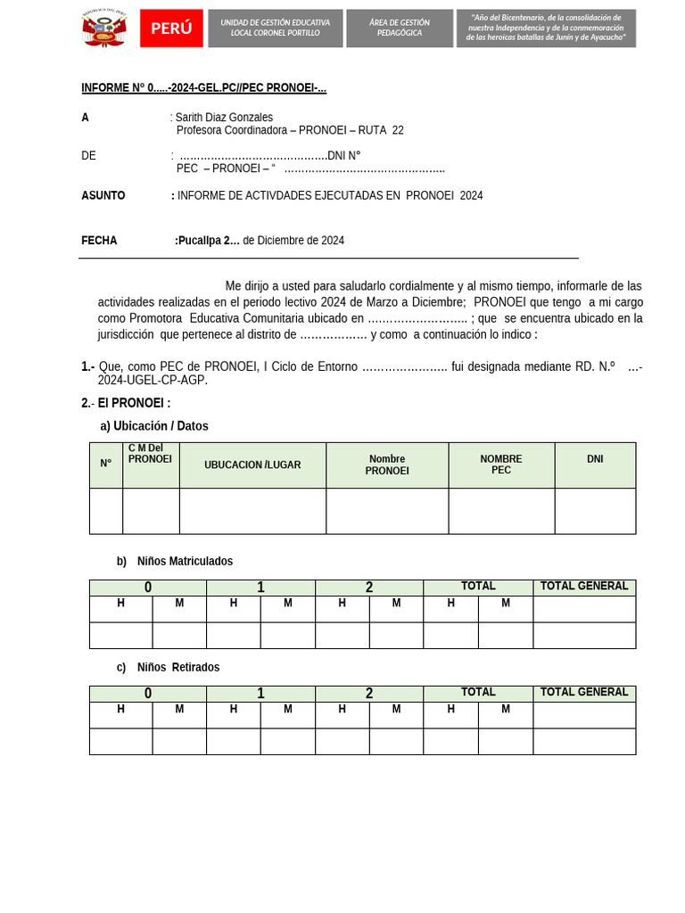 Informe Pec-2024 | PDF