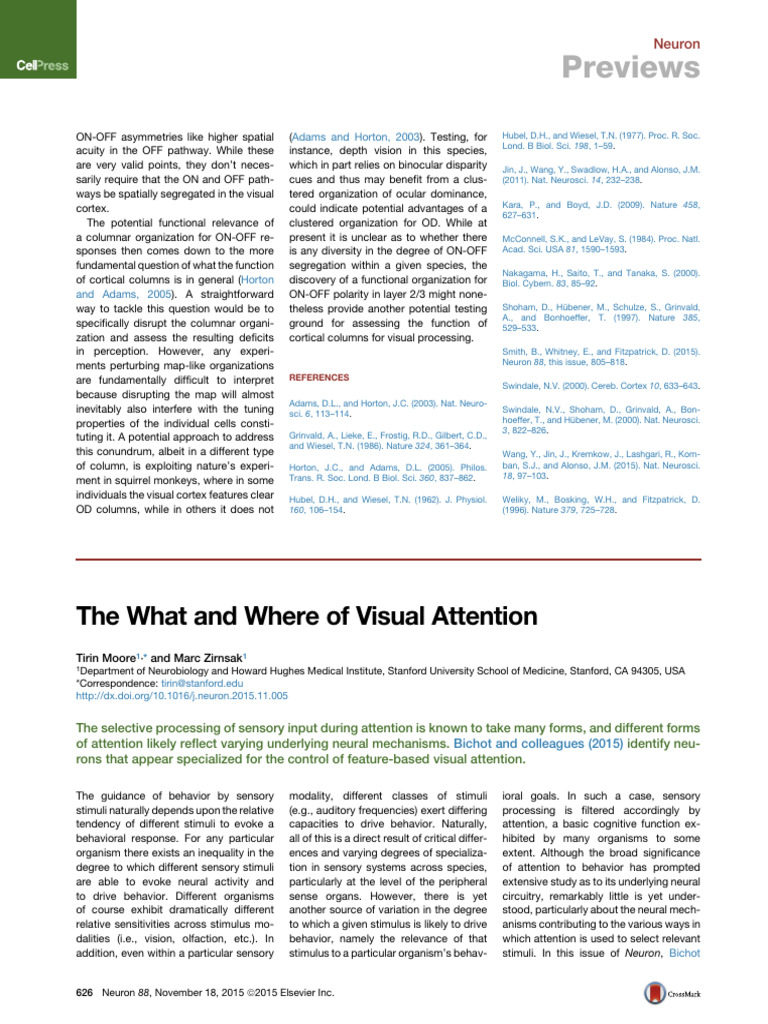 The What and Where of Visual Attention | PDF | Attention | Perception
