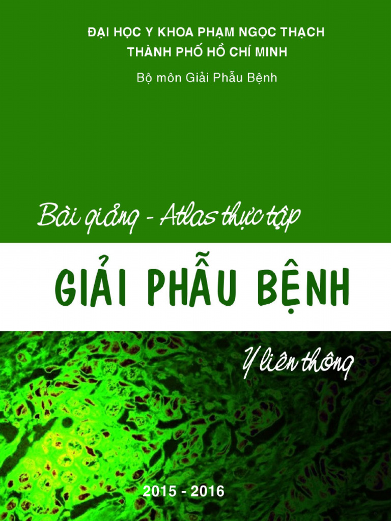 Y Lien Thong Thuc Tap GPB 2016 | PDF
