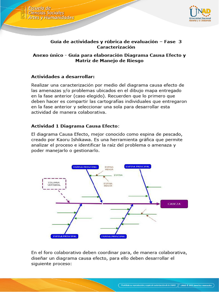 Guía para Diagrama Causa Efecto y Riesgo | PDF