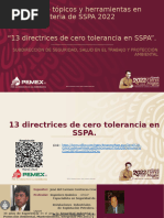 13 Directrices de Cero Tolerencia | PDF | México