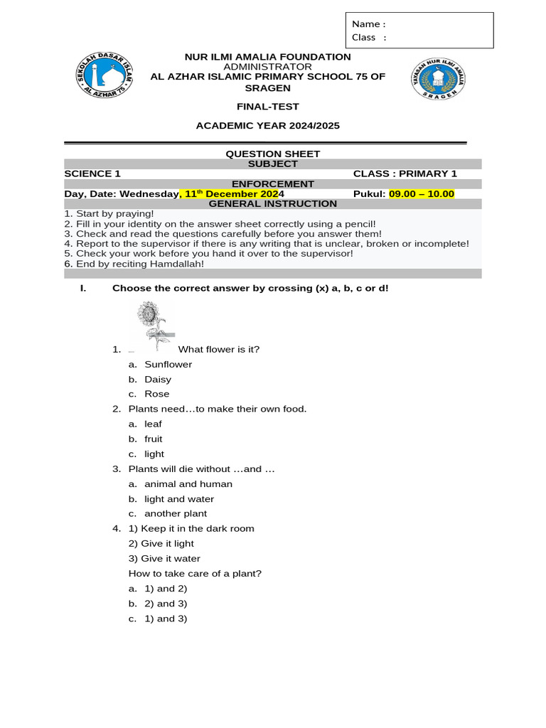 Science 1 Pdf Plants