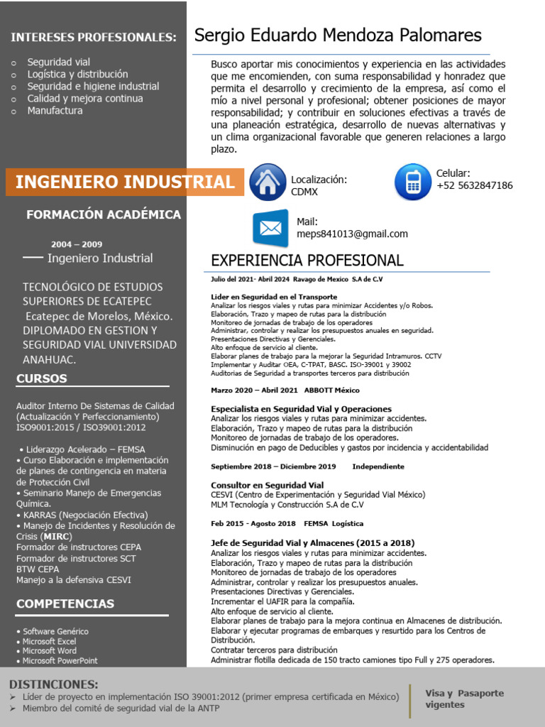 CV Sergio Mendoza 2024 | PDF | Logística | Microsoft