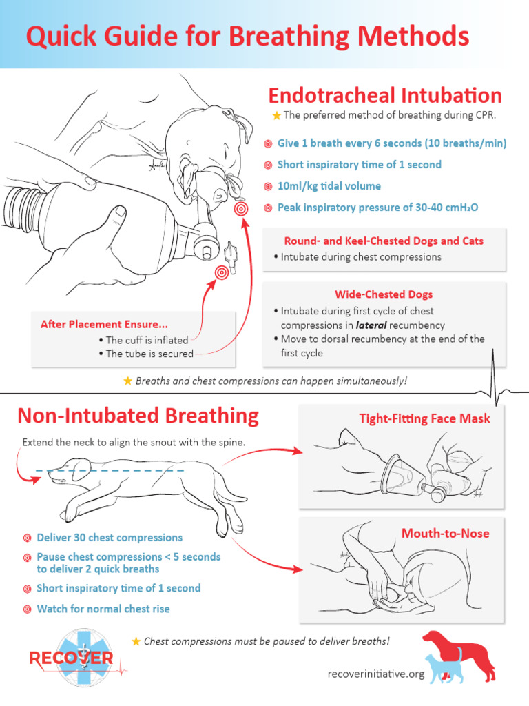 Dog CPR Breathing Techniques Guide | PDF