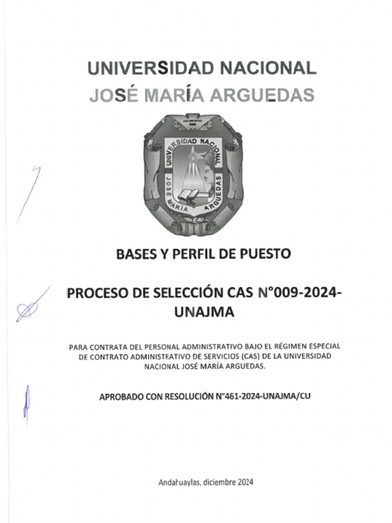 Bases Concurso Cas 009 2024 | PDF