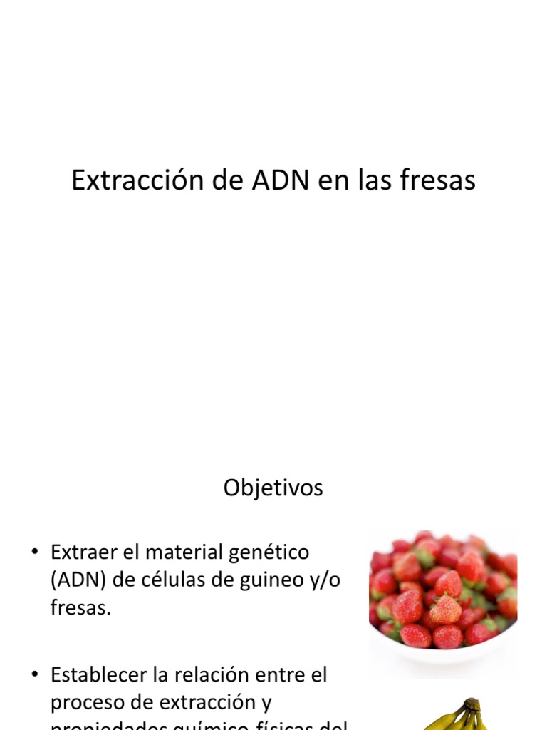Extracción De Adn De Fresas