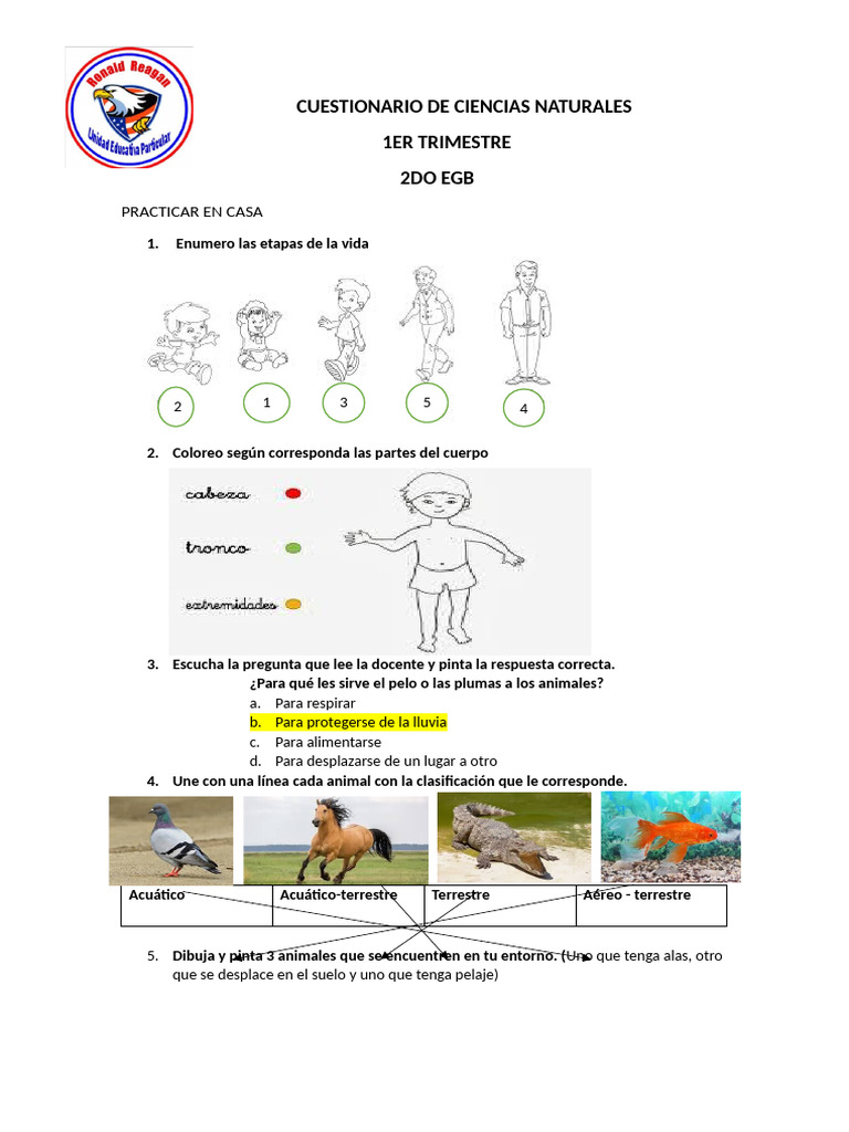 Cuestionario de CCNN 1T | PDF