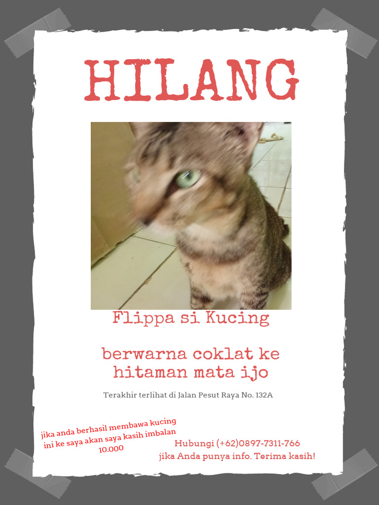 Kucing Pintar | PDF