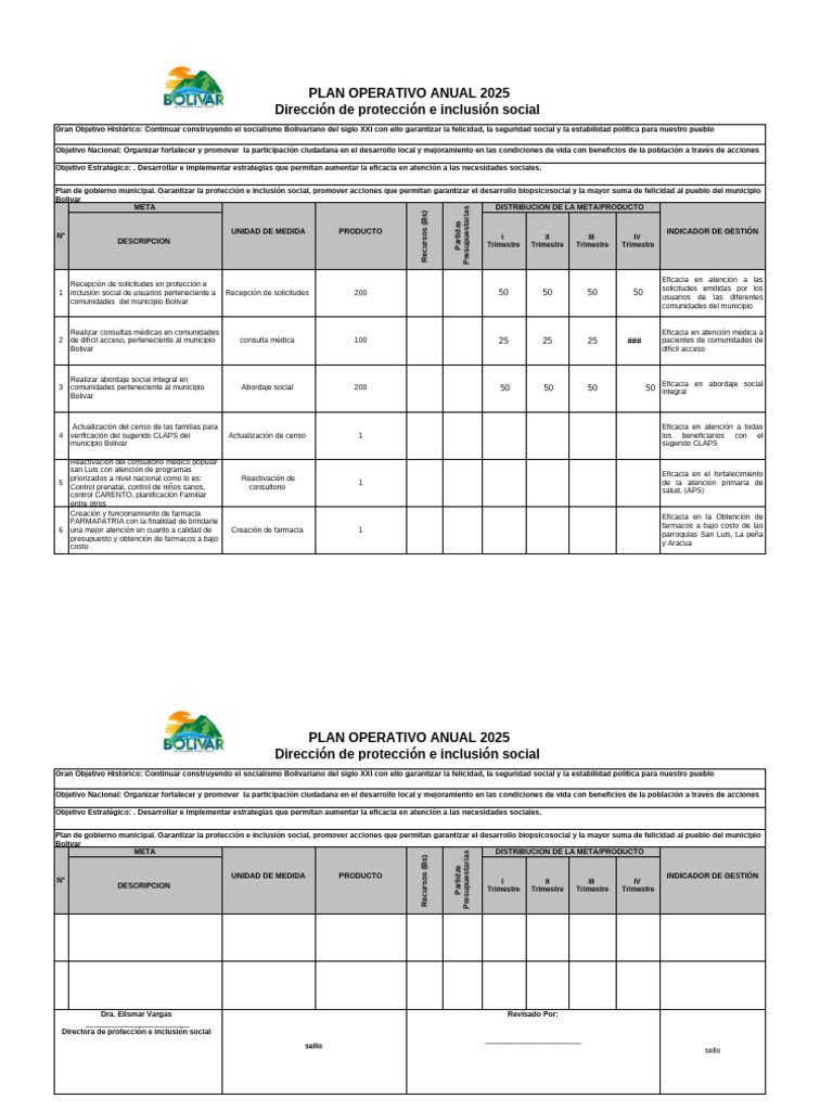 FORMATO POA 2025 Listo | PDF