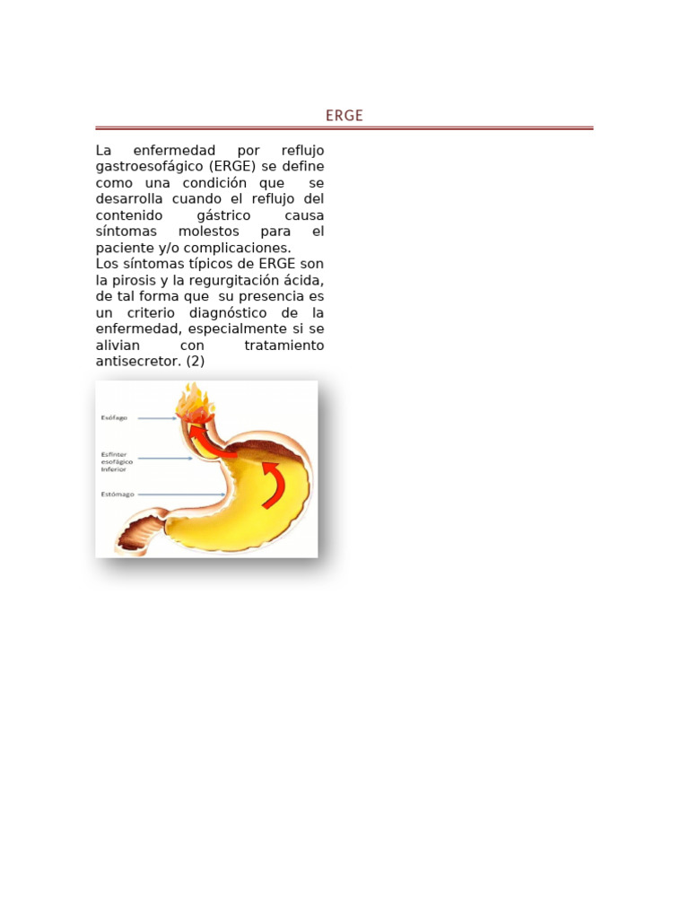 Dieta y Consejos para Controlar ERGE | PDF