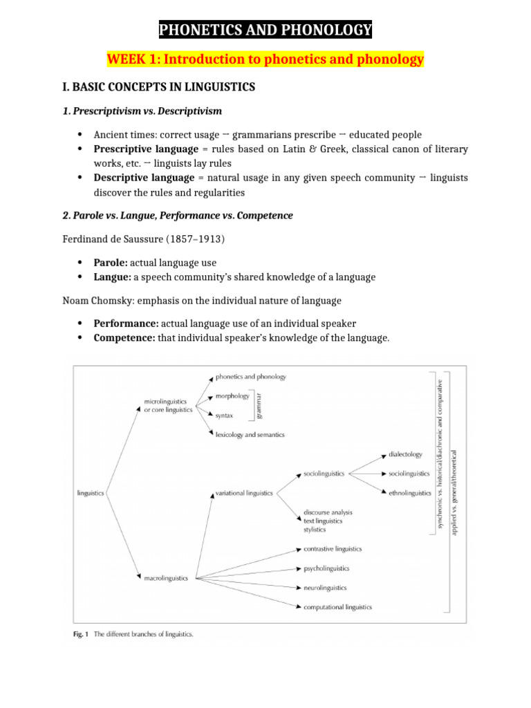 PHONETICS AND PHONOLOGY | PDF | Phonetics | Vowel
