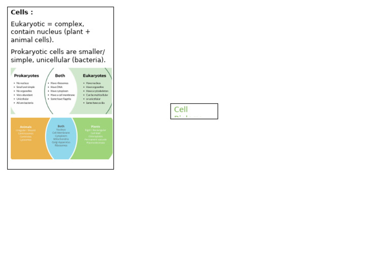 Bio Revision - Cell Bio Concise Notes | PDF