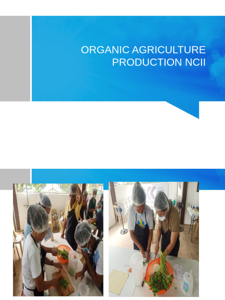 Farm Tour | PDF