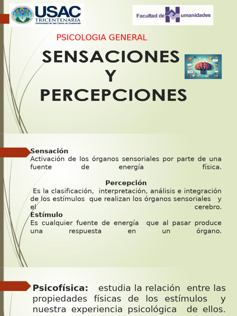 3. Sensaciones y Percepciones | PDF