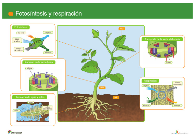 LAMPDF01 U05 CT4 Op | PDF