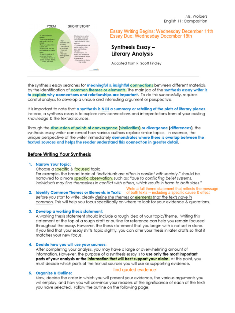 Synthesis Essay Assignment | PDF | Essays | Paragraph