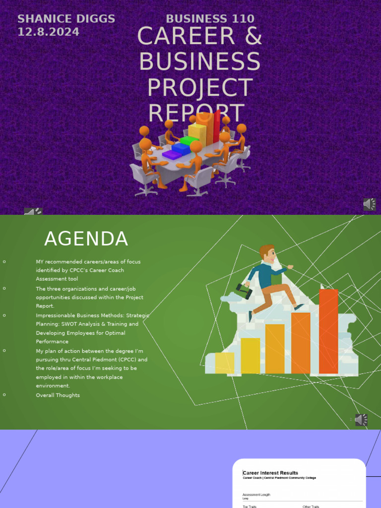 Career & Business Project Report | PDF | Business | Economies