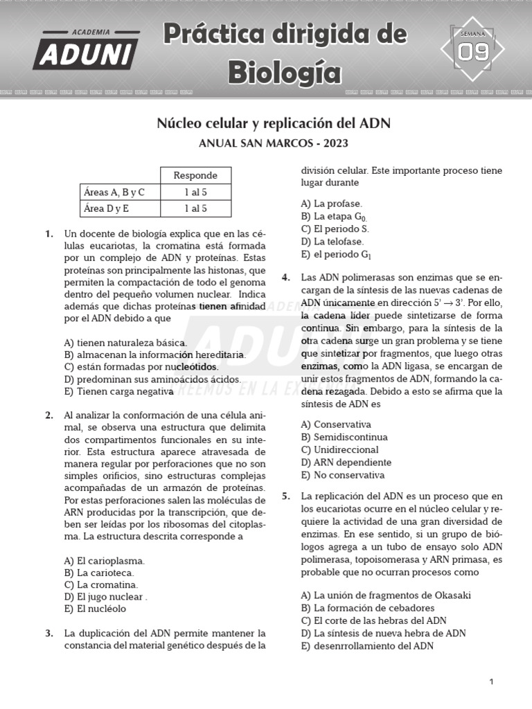 B - ASM - Diri - Sem 09 | PDF | Adn | Replicación De Adn