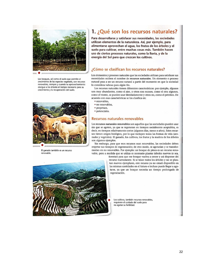 Recursos Naturales-Clasificaci-n y Tipo de Manejos | PDF