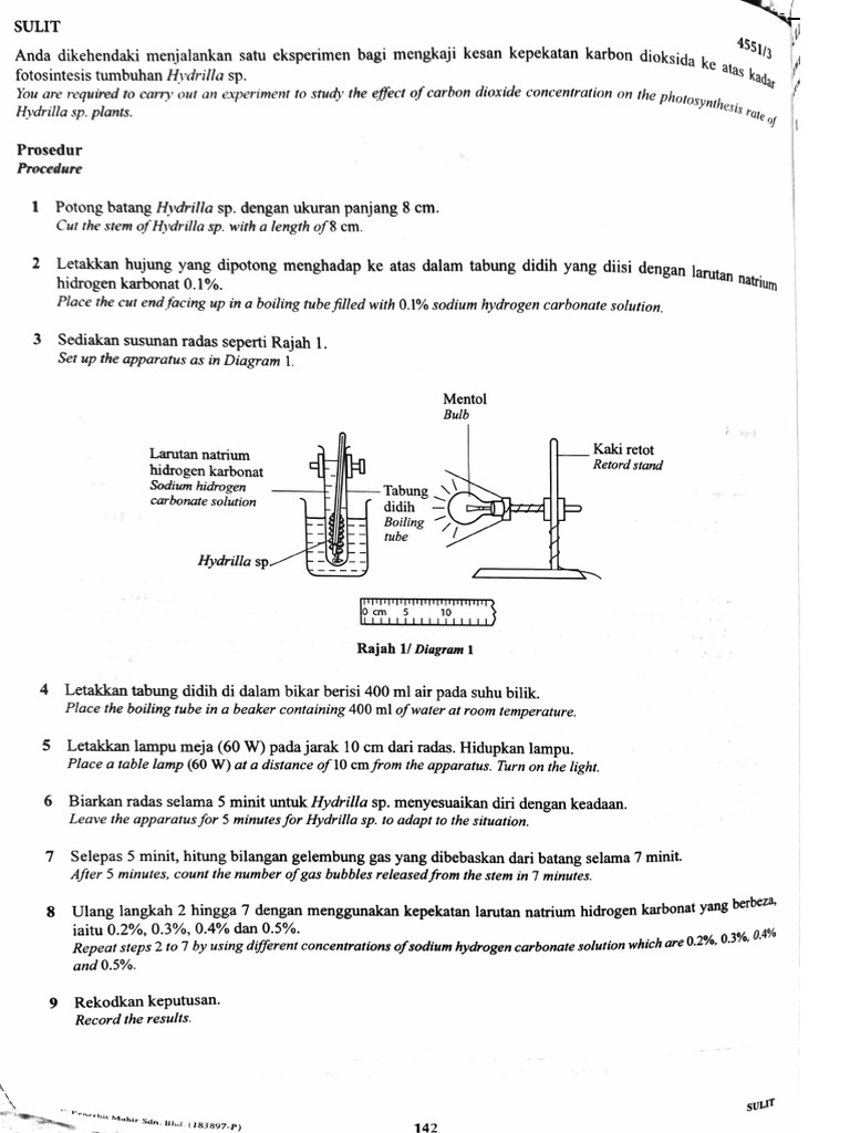 Amali Bio - Photosynthesis | PDF