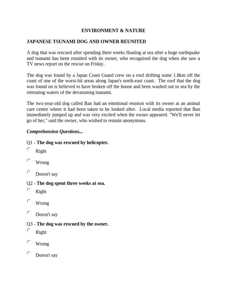 READING Comprehension Part 2 | PDF | Angkor | Angkor Wat