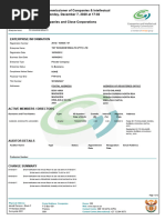 CSD Registration Summary Report 2024 | PDF | Identity Document | Taxes