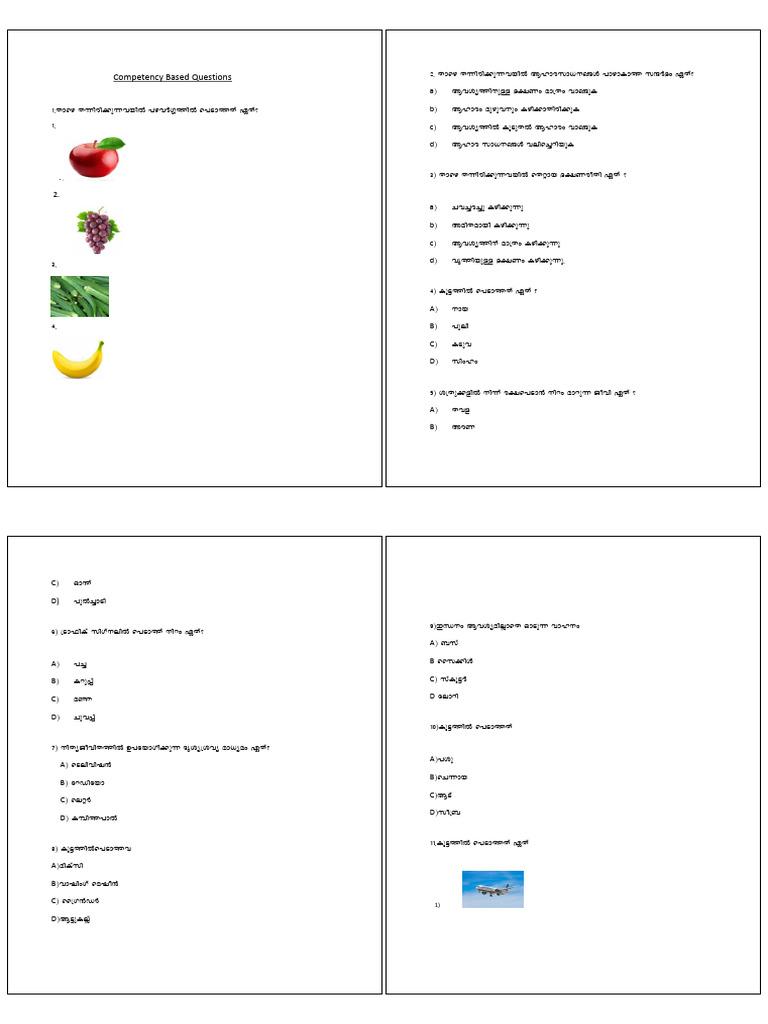 Competency Based Questions (EVS) | PDF | Candy | Foods