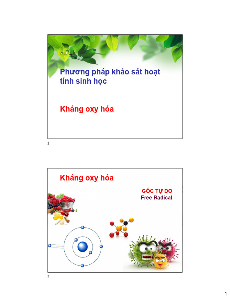 PP Nghien Cuu Khang Khuan - Va OXH - 2024 | PDF