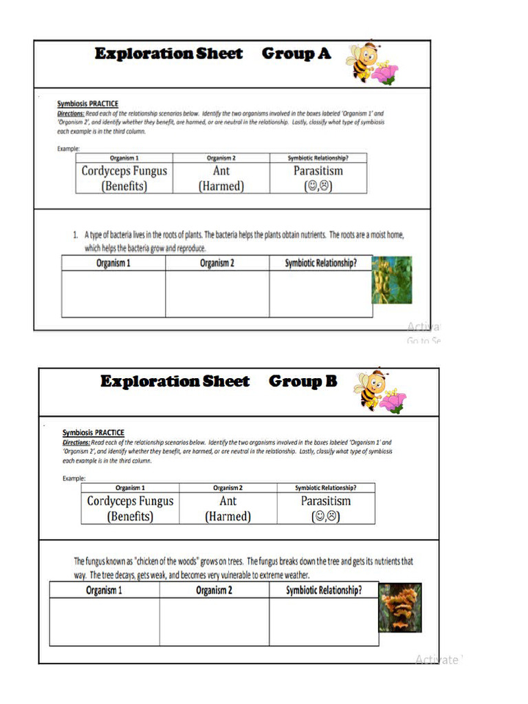 exploration sheet-A& B | PDF