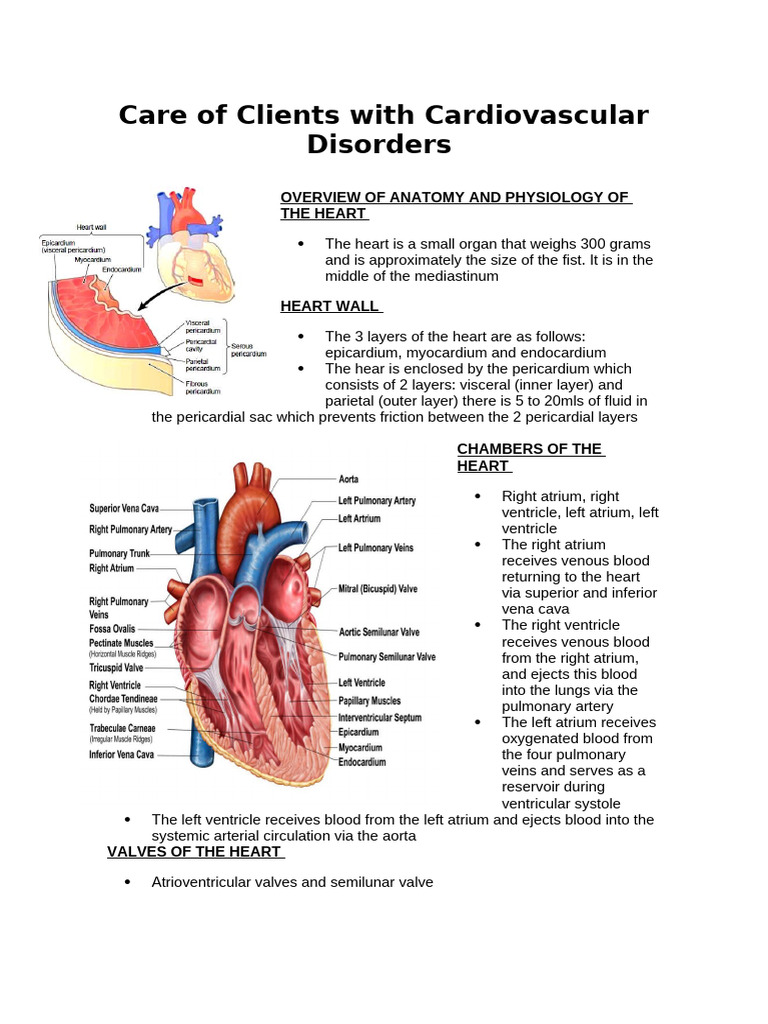 Care of Clients With Cardiovascular Disorders | PDF | Heart Valve ...