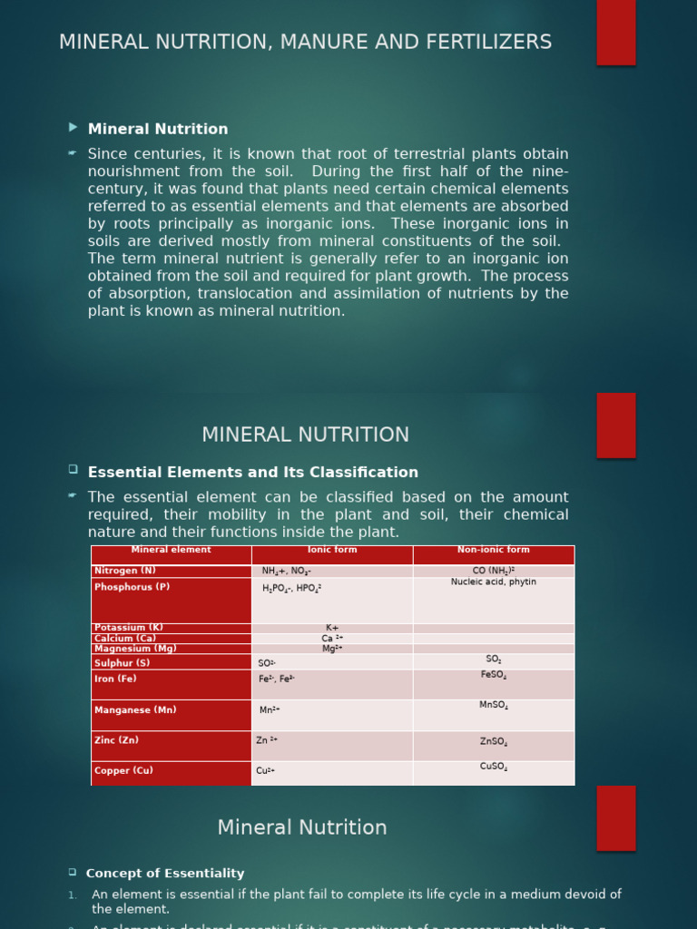 Mineral Nutrition Minerals and Fertilizers | PDF | Fertilizer | Plant Nutrition