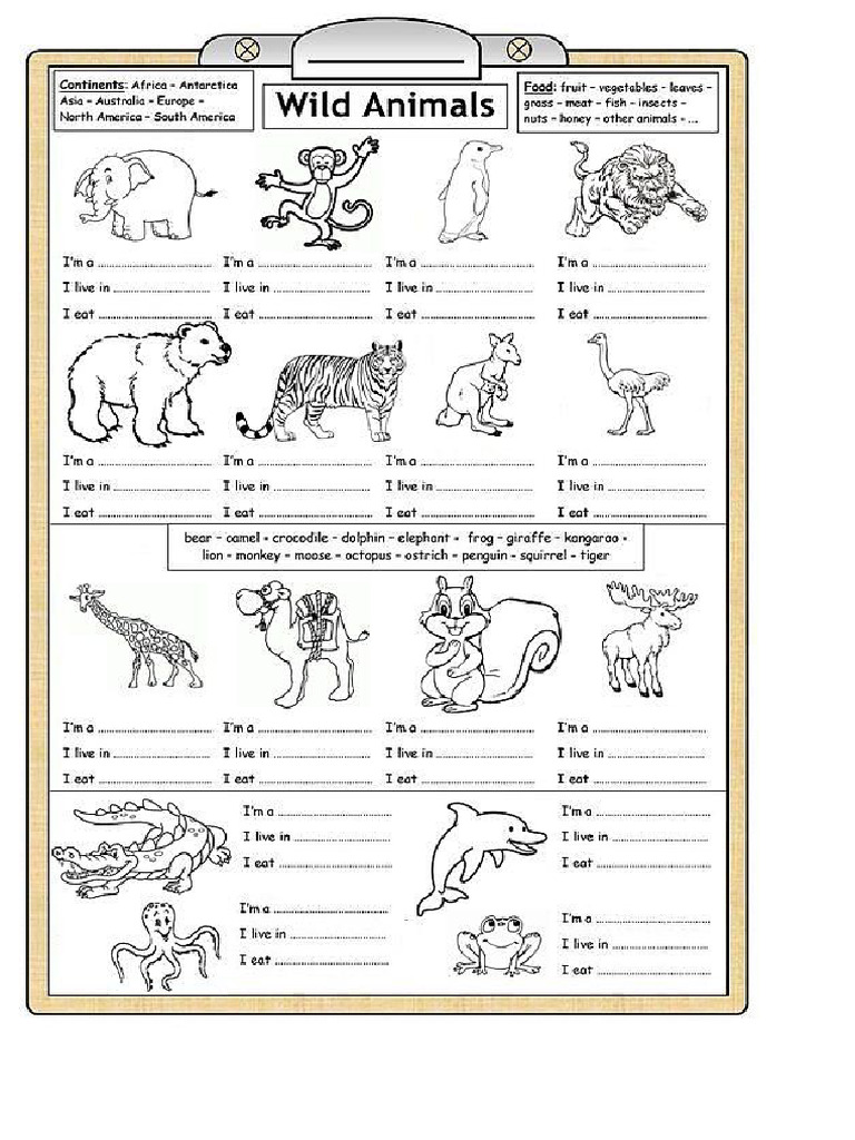 6to Animals | PDF