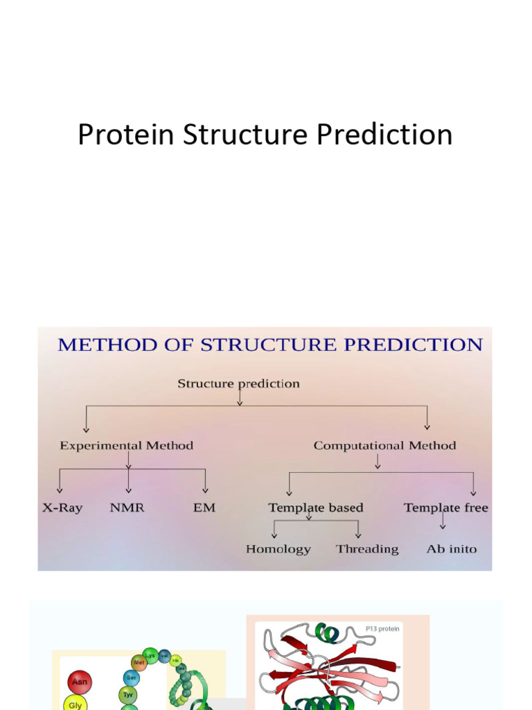 Protein Structure Prediction.pptx | PDF | Alpha Helix | Molecular ... Protein Structure Prediction.pptx | PDF | Alpha Helix | Molecular ...