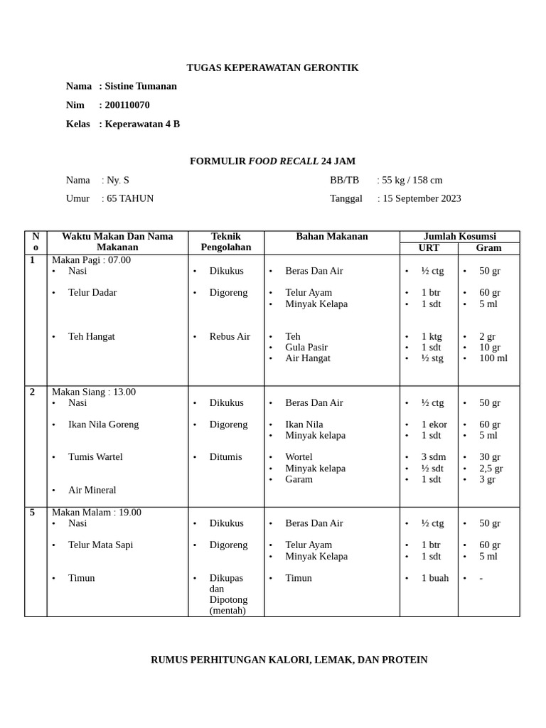 Food Recall 24 Jam | PDF